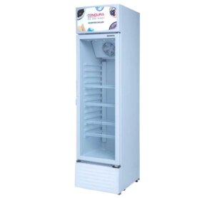Buy Refrigerators at Best Price in the Philippines | Western Appliances